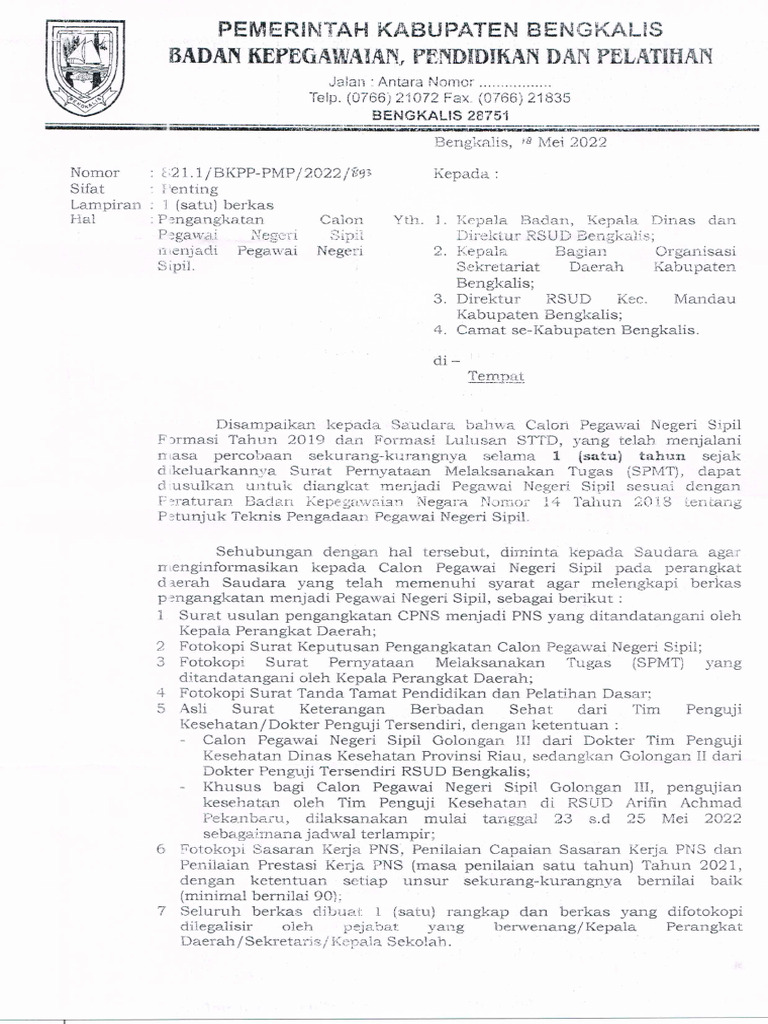 Pengangkatan CPNS ke PNS | PDF