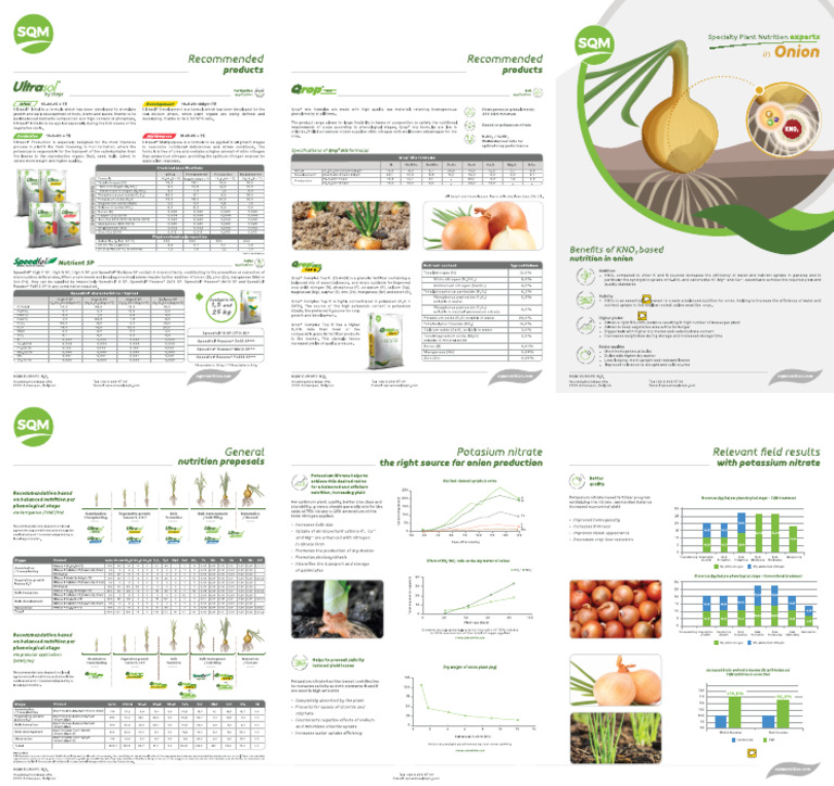 Onion Nutrient Management | PDF