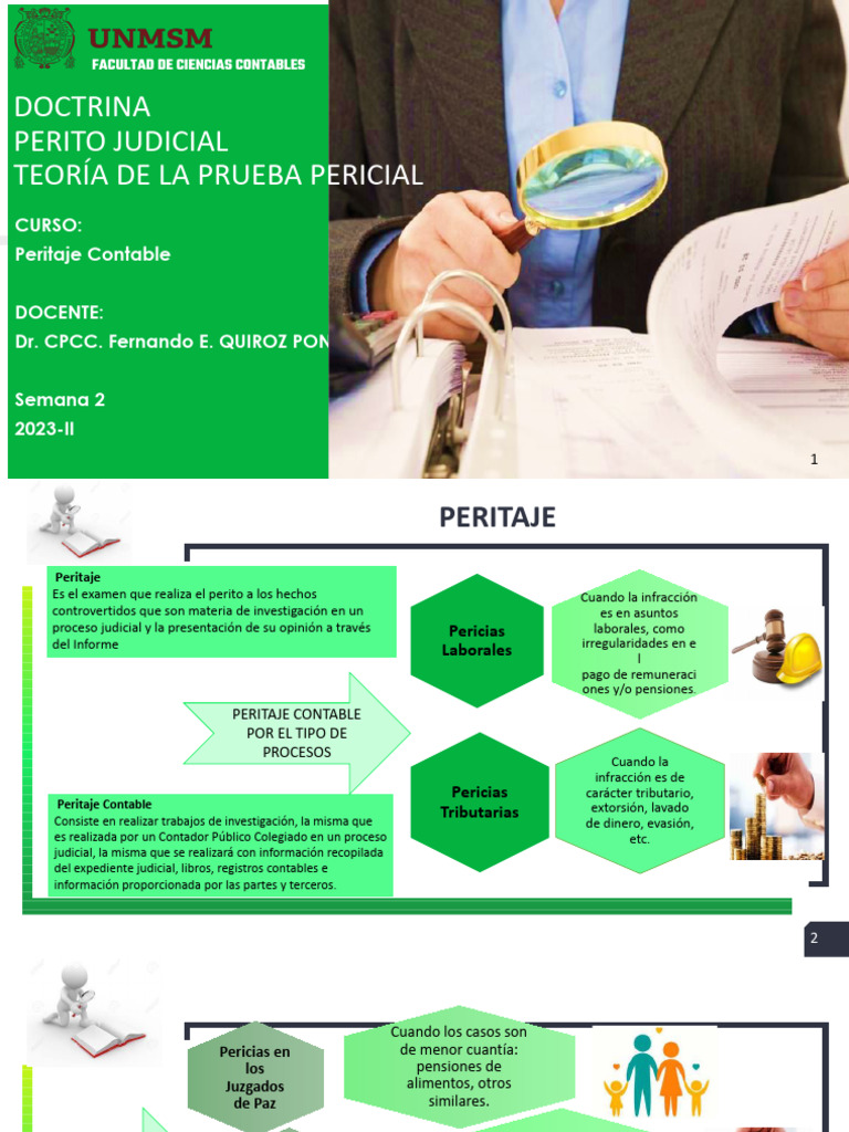 Pericia Contable Semana 2 | PDF | Testigo experto | Contador
