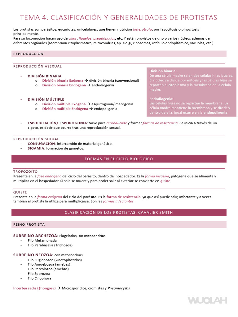 Wuolah-Free-4. Protistas-Gulag-Free | PDF