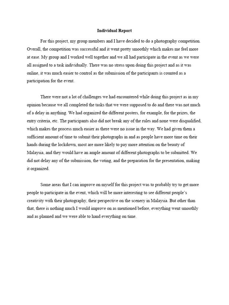 Individual Report | PDF