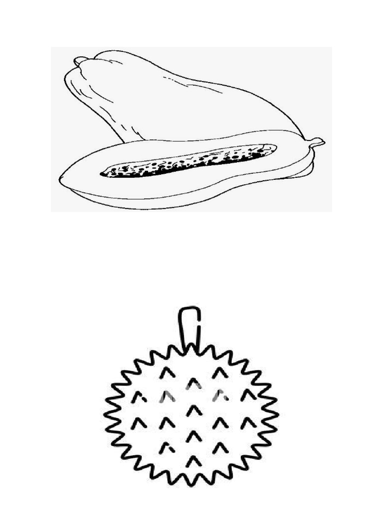 Lukisan Buah2an | PDF