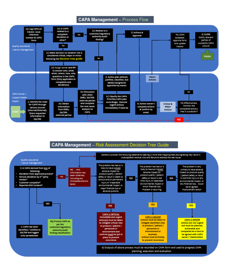 CAPA Management Process Flow | PDF