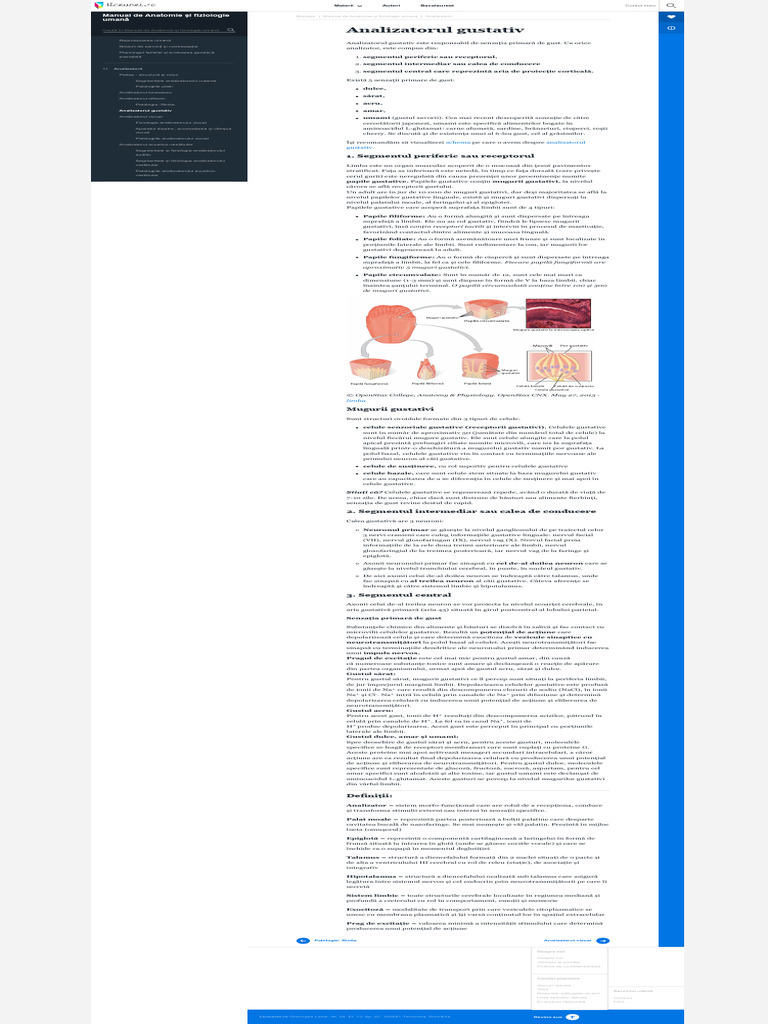 Analizatorul Gustativ Manual De Anatomie Pdf