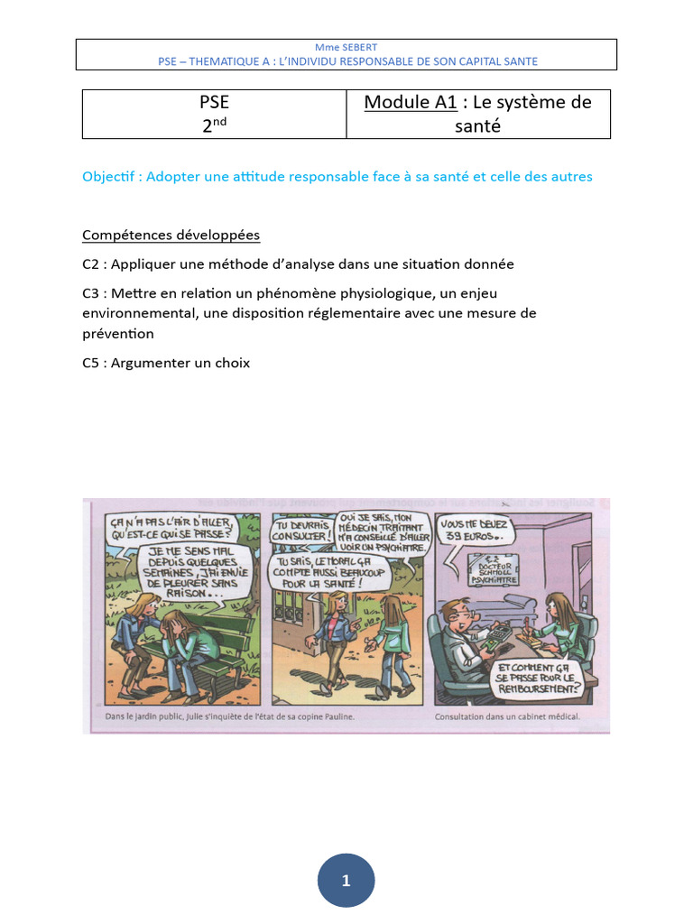 PSE SYSTEME DE SANTE COURS Imprimé | PDF | Allocations | Soins de santé