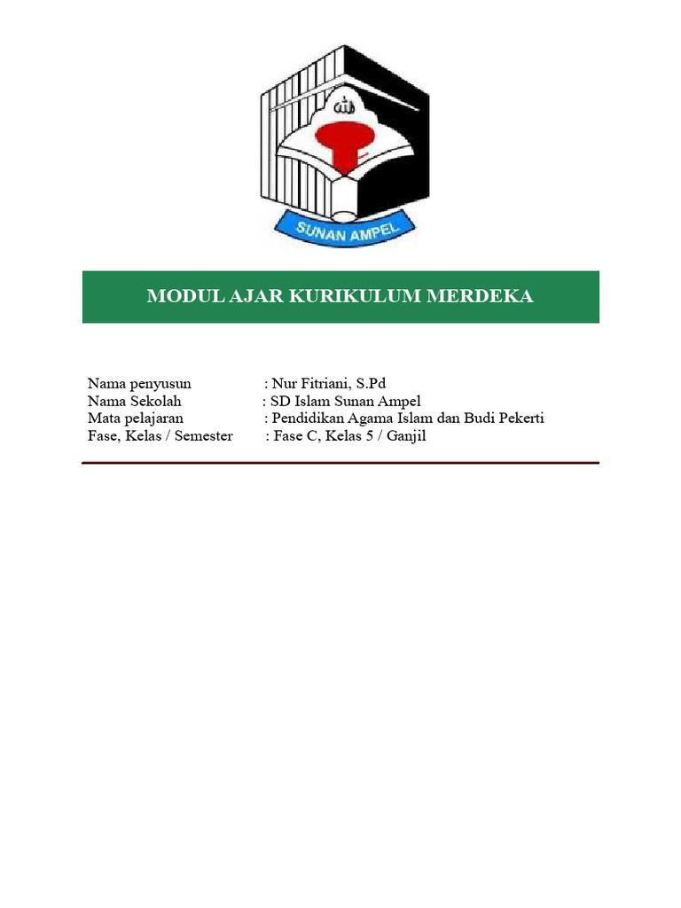 Nur Fitriani Tpack Revisi | PDF