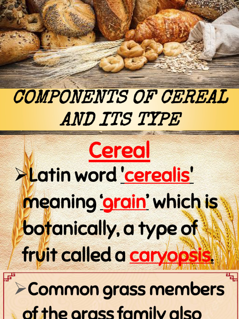 Cereal Components and Types Explained | PDF | Cereals | Whole Grain