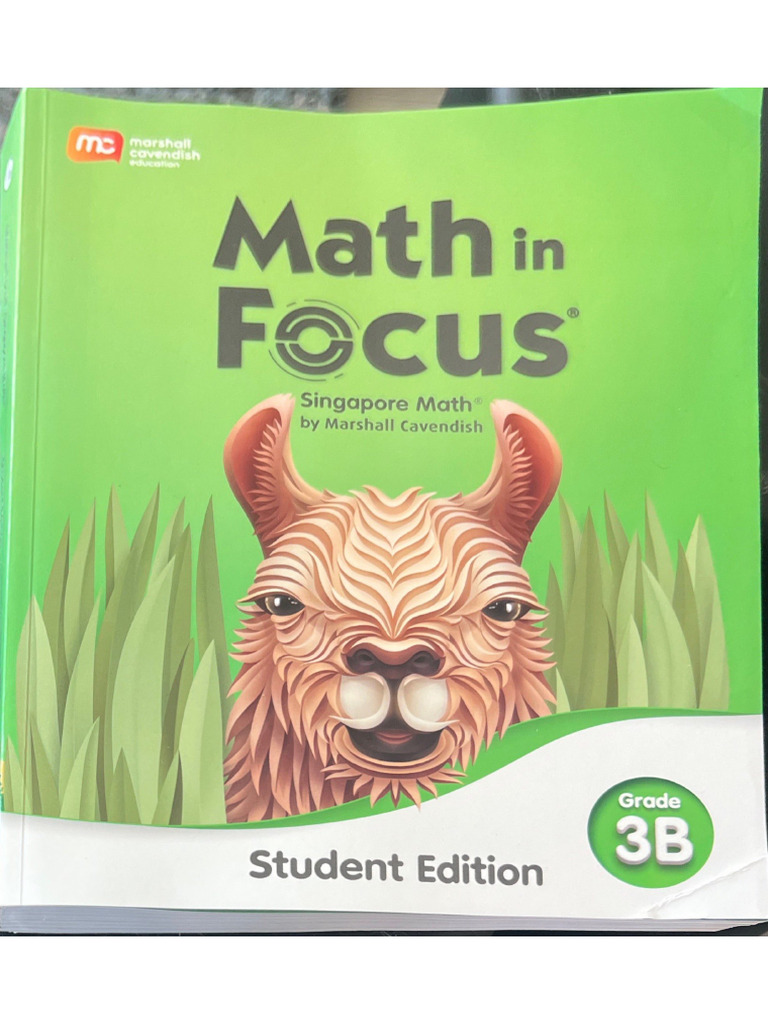 Math in Focus Book B 3rd Grade | PDF