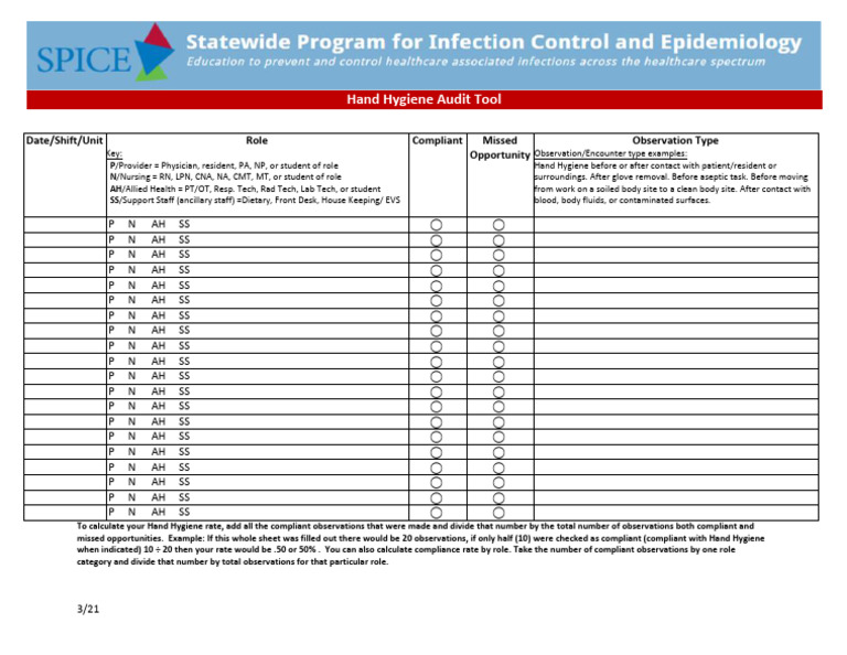 Hand Hygiene Audit Tool Version 2 PDF Clinical Medicine Medical