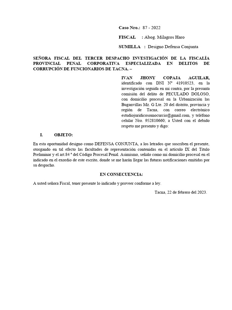 Defensa Conjunta. Caso Ivàn Copaja | PDF