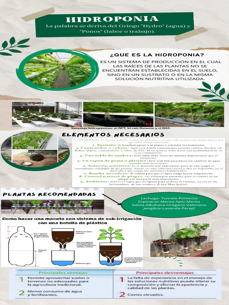 Hidroponia | PDF