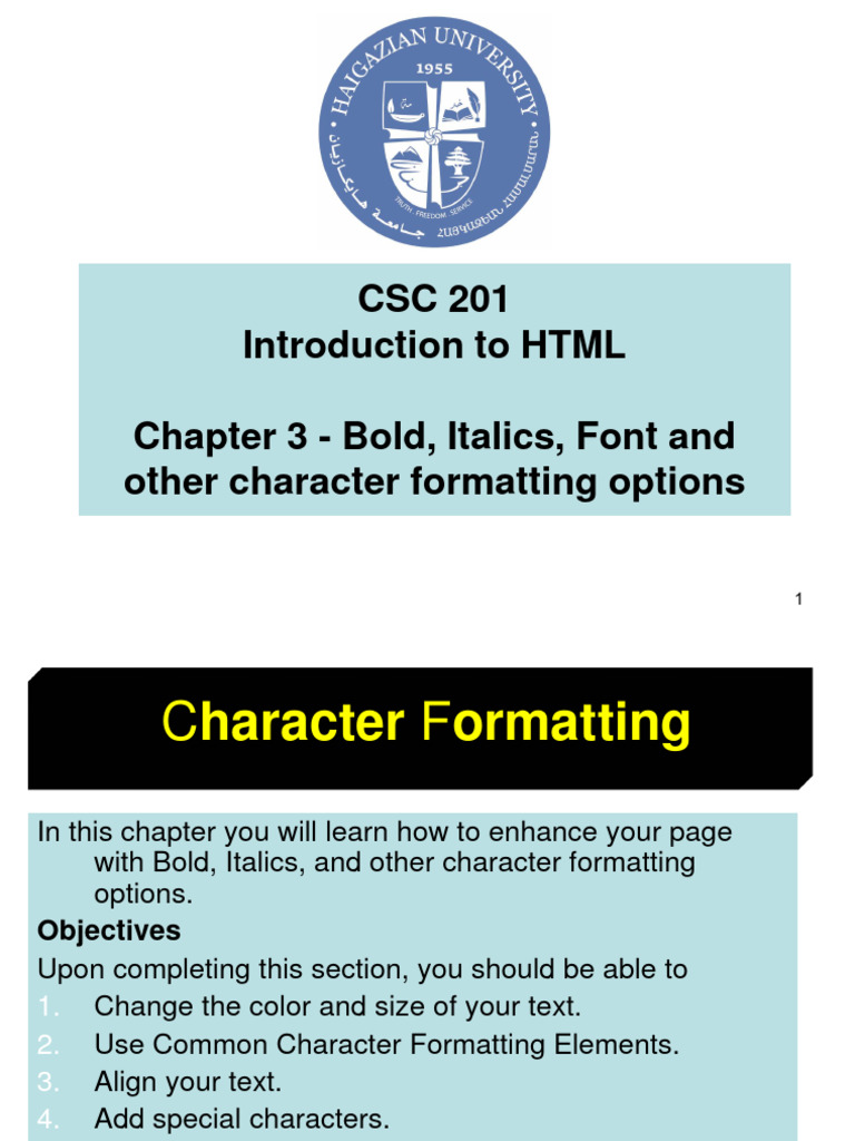 Chapter 3 (Bold, Italics, Font and Other Character Formatting Options) | PDF