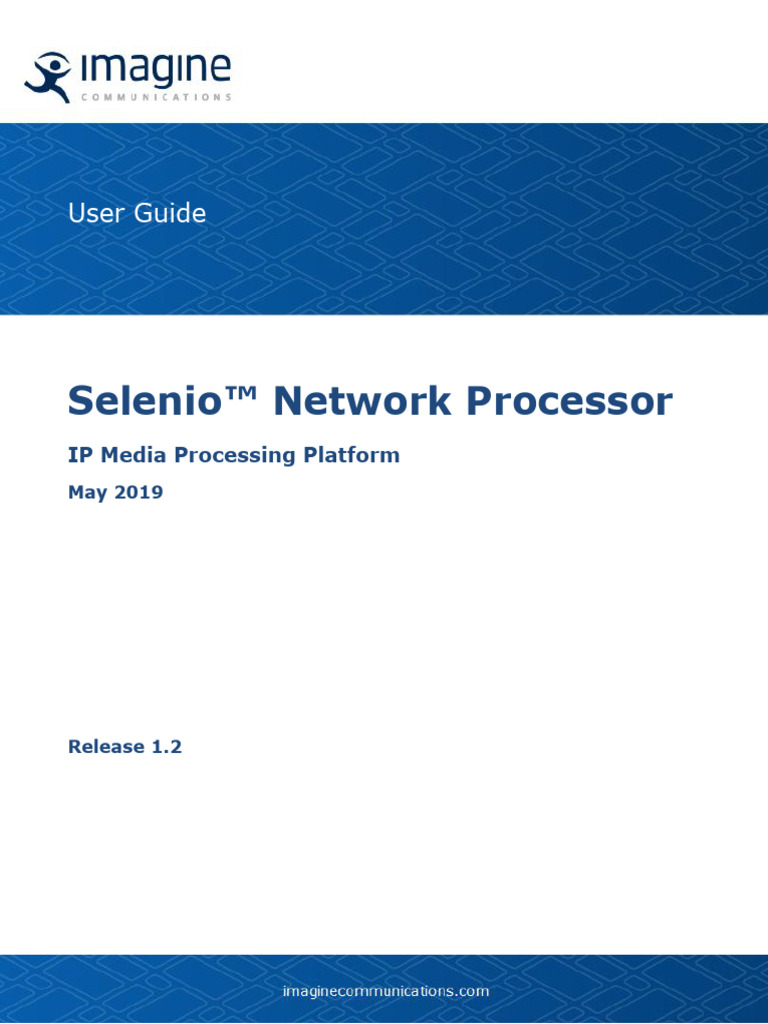 Selenio™ Network Processor Manager | PDF | Computer Science ...