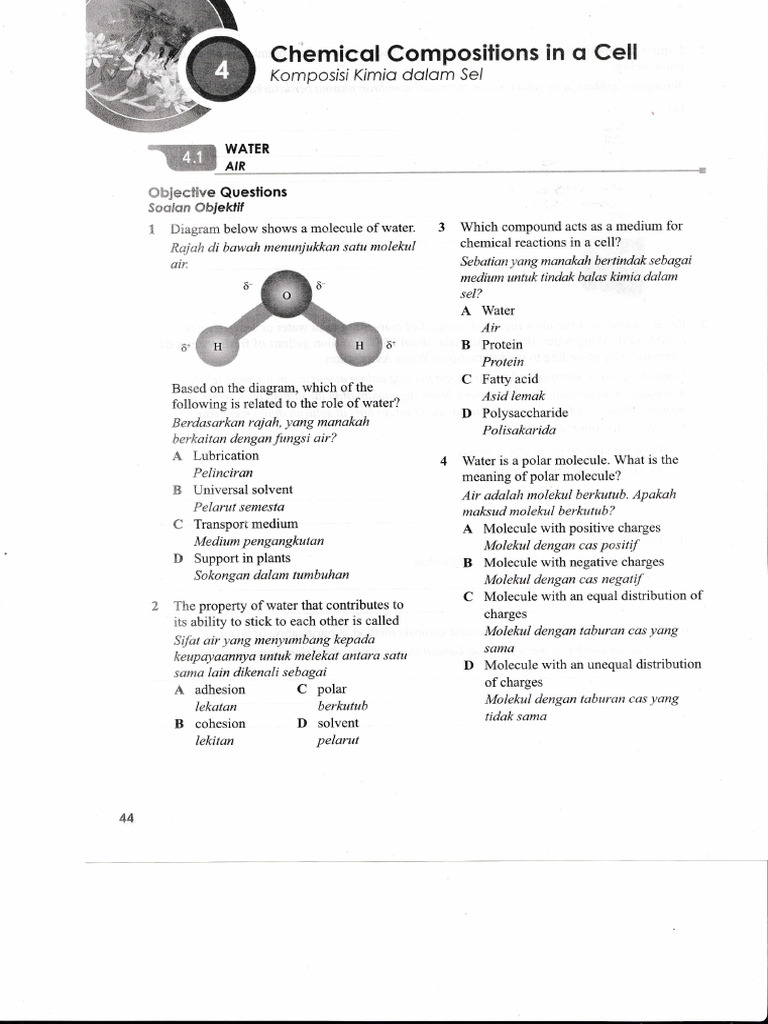 Form 4 Bio Chapter 4 | PDF