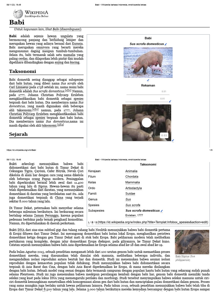 Babi - Wikipedia Bahasa Indonesia, Ensiklopedia Bebas | PDF