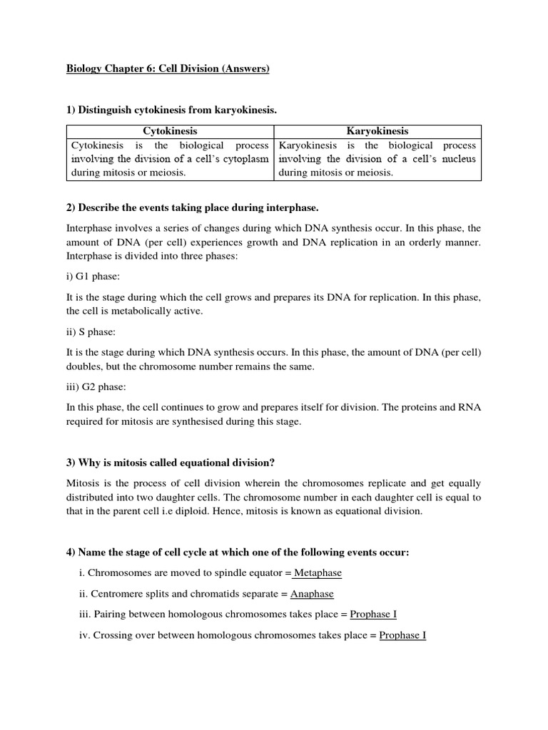 Biology Chapter 6 Exercise (ANSWERS) | PDF | Meiosis | Mitosis