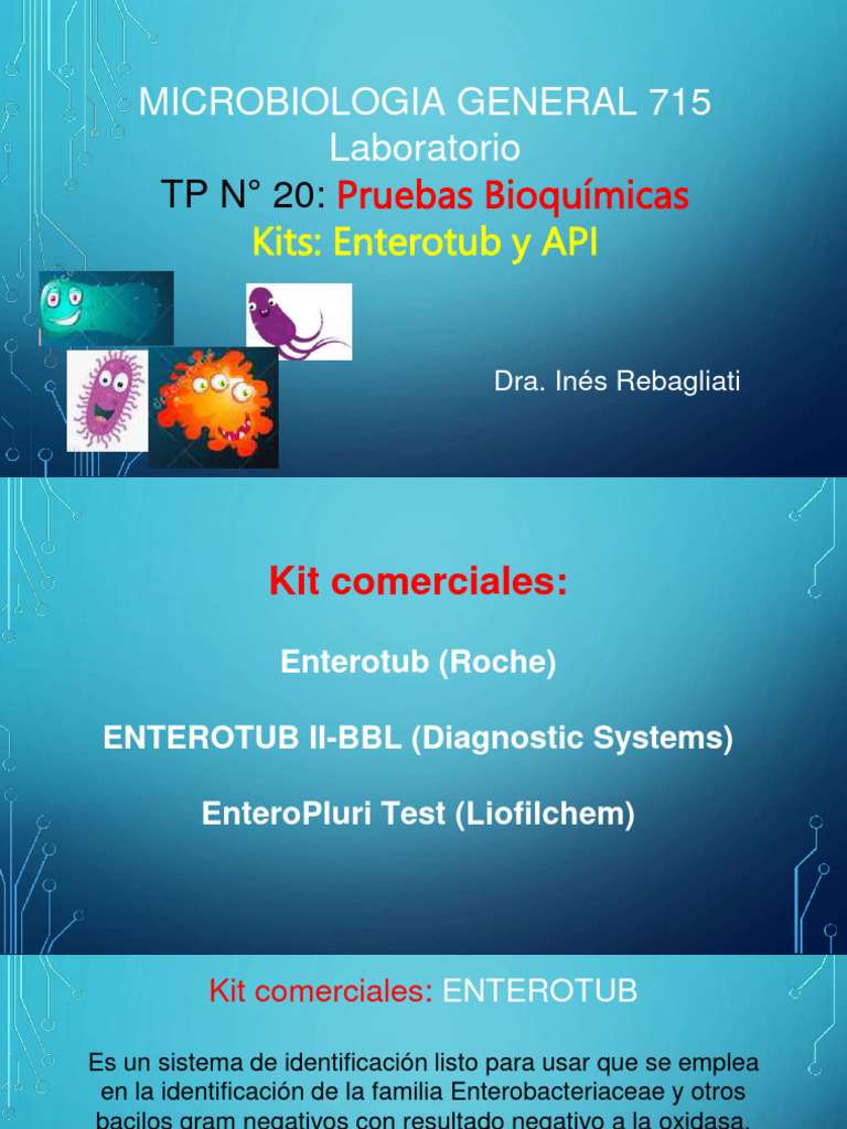 TP #20-PRUEBAS BQCAS-Kit ENTEROTUB y API-MICROBIOLOGIA | PDF ...