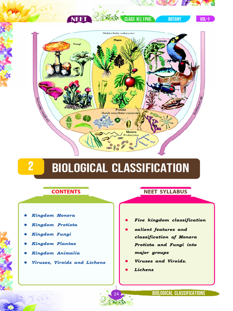 11B2 Biological Classification | PDF | Bacteria | Cyanobacteria