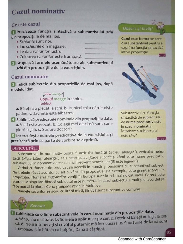 Substantivul Cazuri 6 | PDF