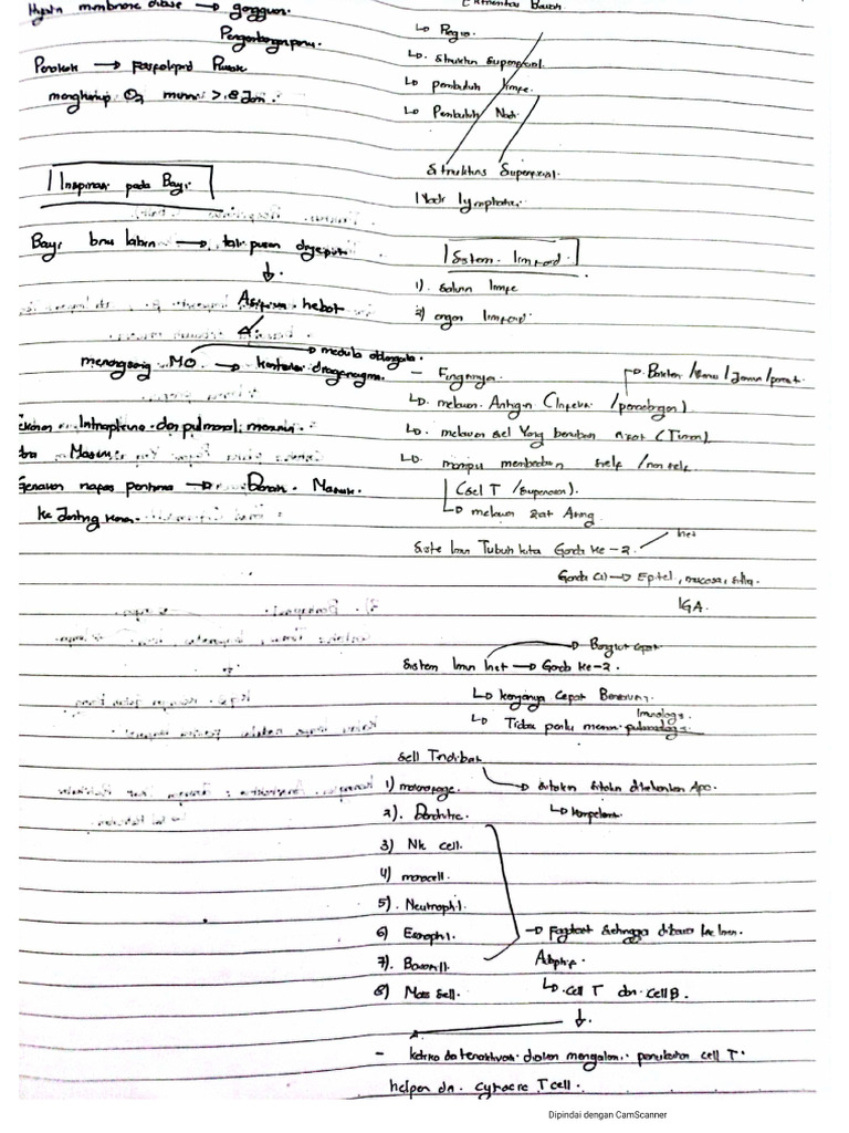 Histologi Organ Limfoid | PDF