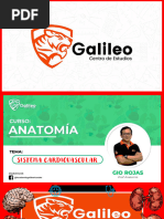 Omentos mayor y menor_ Anatomía, ubicación y función _ Kenhub | PDF ...