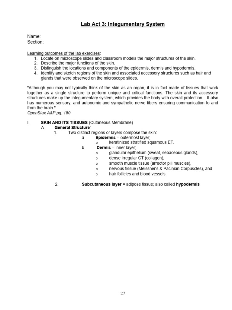 Lab Act 3 -Integumentary Systemdocx (1) | PDF | Skin | Integumentary System