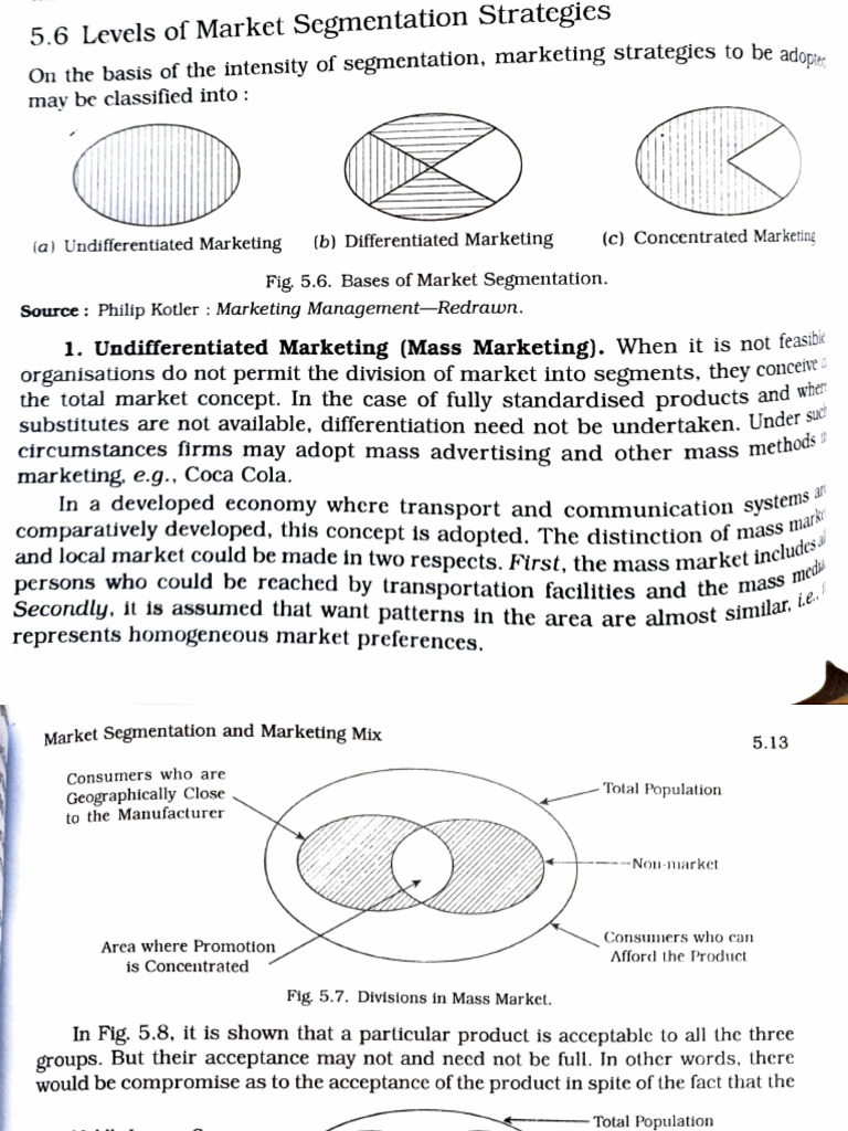 Market Seg Strategies | PDF | Marketing | Market Segmentation