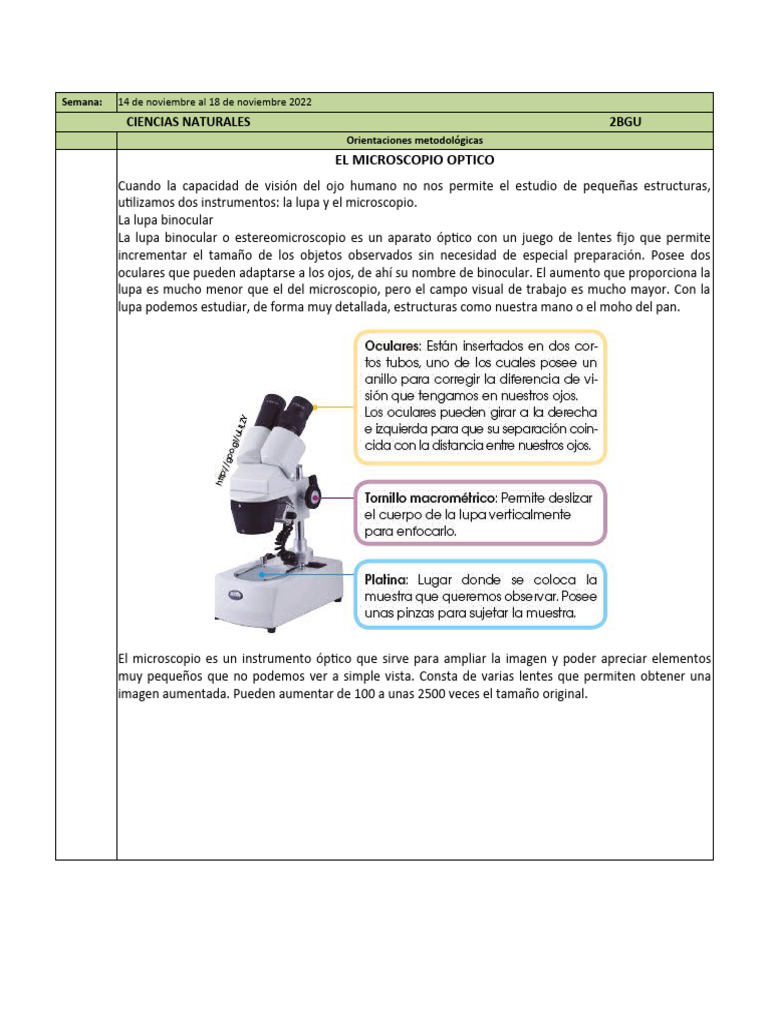 Ficha3. Isabel | PDF