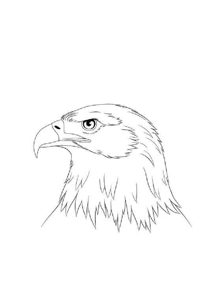 Eagle | PDF