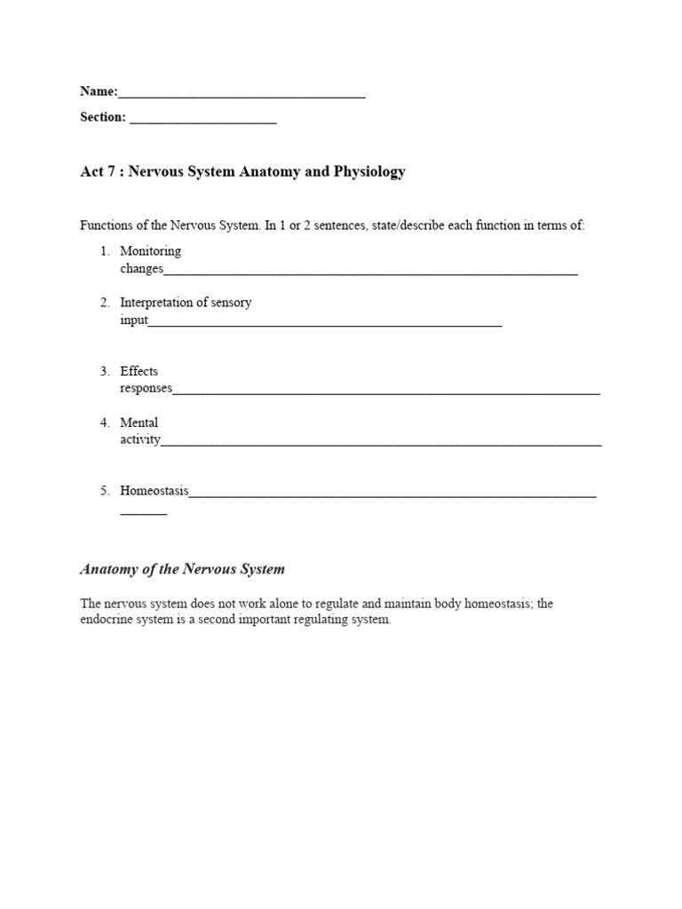 Nervous System Lab Activity | PDF | Neuron | Nervous System