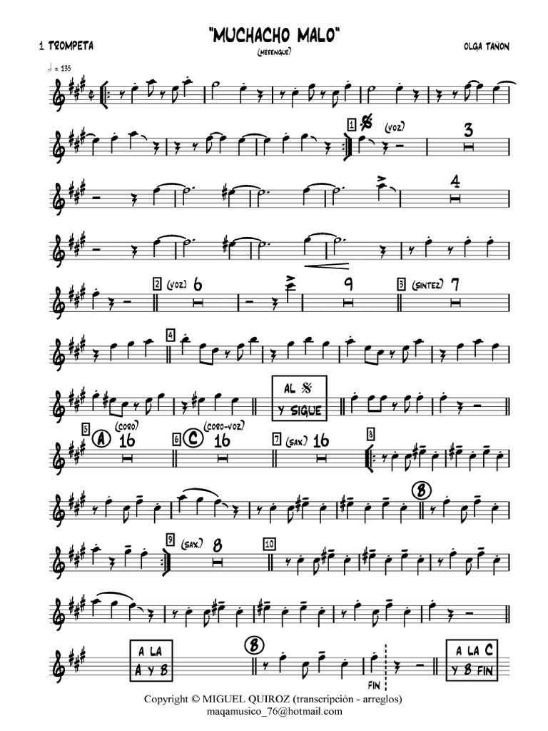 Olga Tañon - Muchacho Malo | PDF