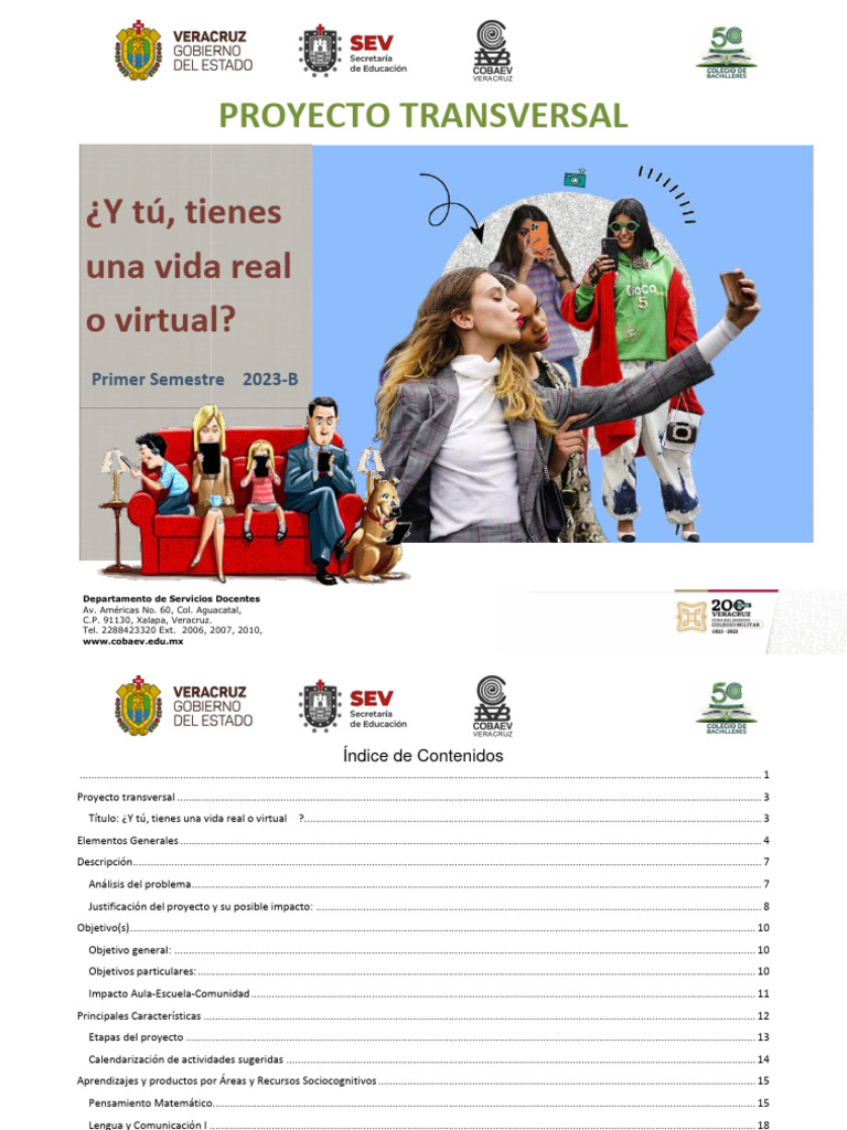 Proyecto Transversal Vida Real o Virtual | PDF
