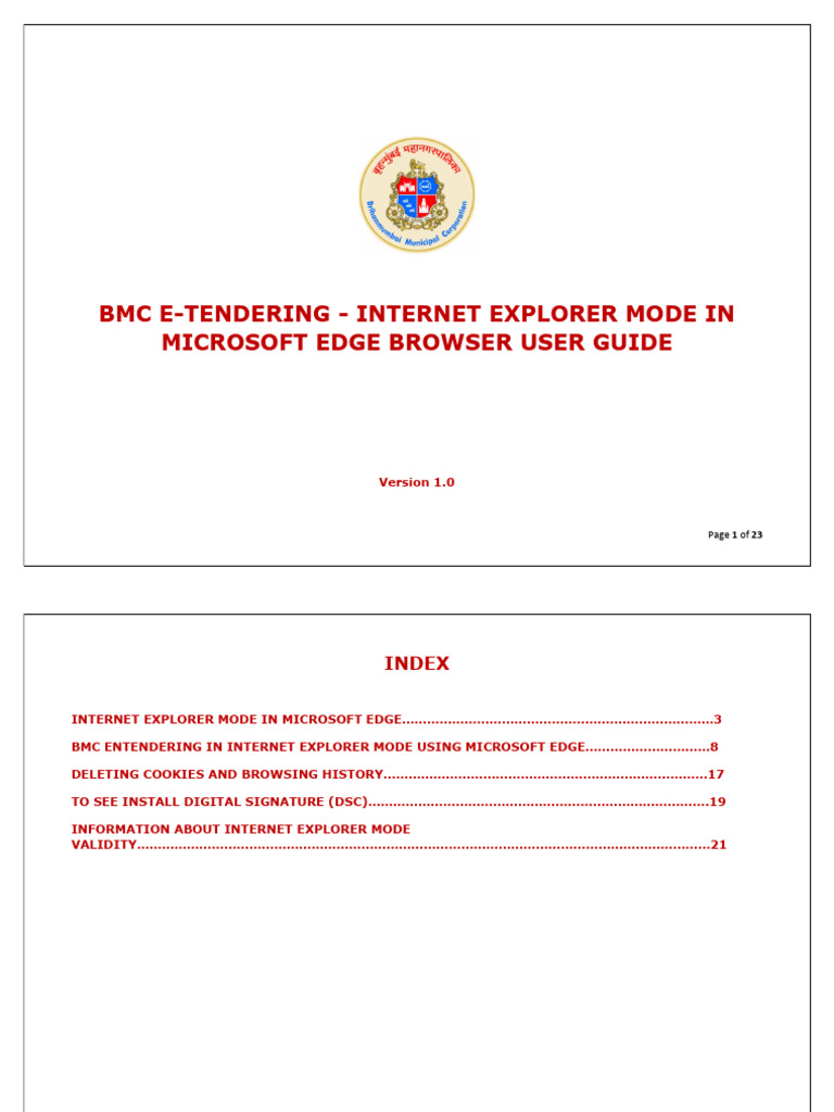 Guide For Internet Explorer | PDF