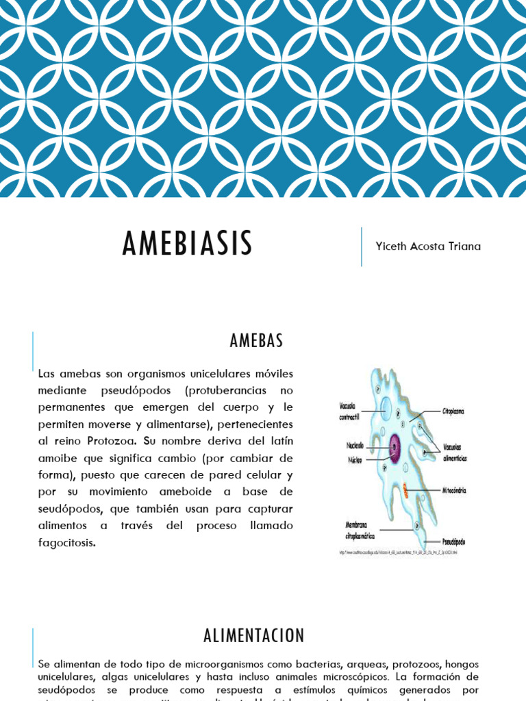 Amebiasis | PDF | Especialidades Medicas | Microbiología