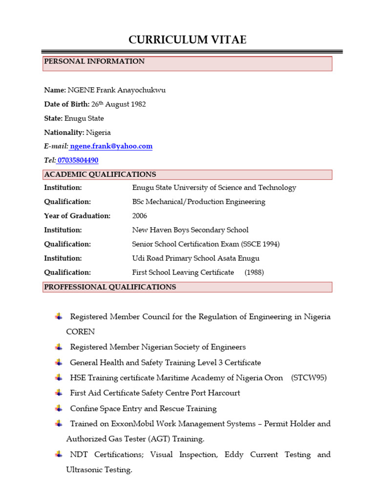 Frank Ngene's Engineering CV | PDF | Concrete | Safety