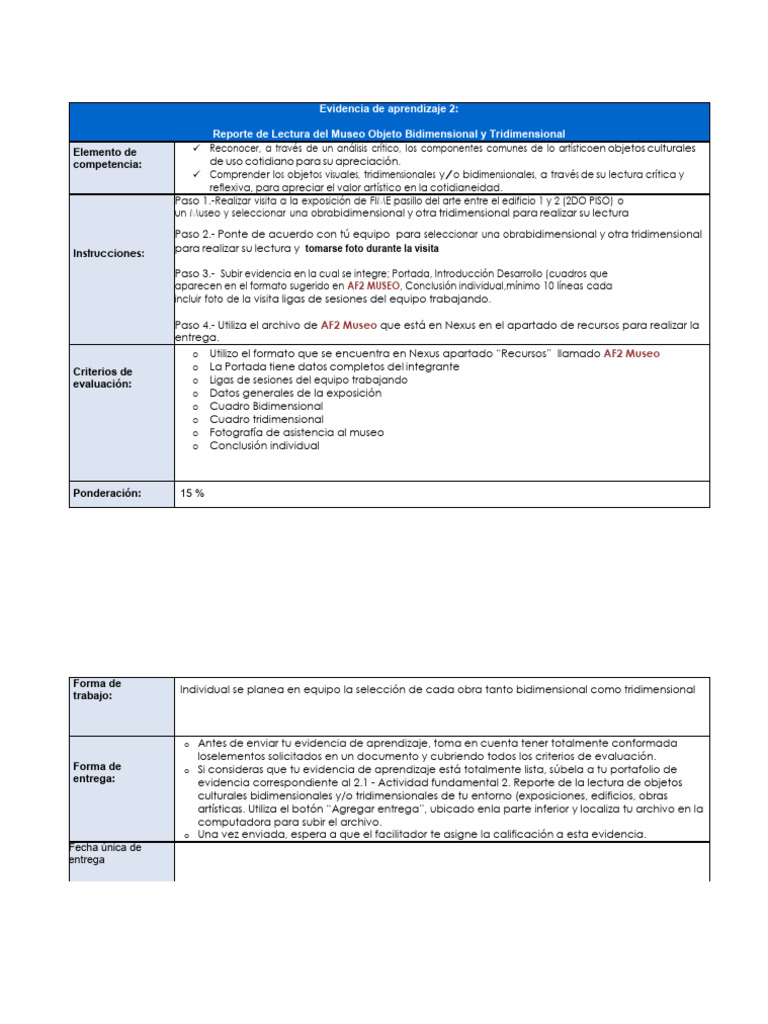 AF2 Instrucciones - Reporte de Lectura Bidimensional y Tridimensional | PDF | Museo