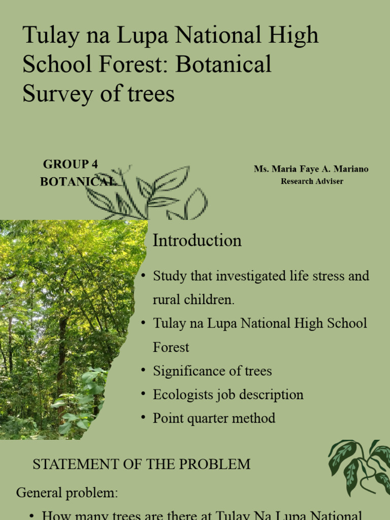 Tulay Na Lupa National High School Forest: Botanical Survey of Trees ...