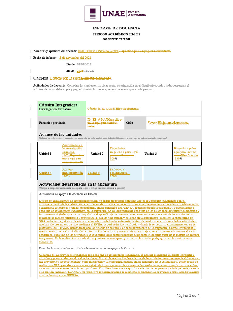 Informe de Docente Tutores SII-2022 Ip | PDF | Investigación para la Acción | Maestros