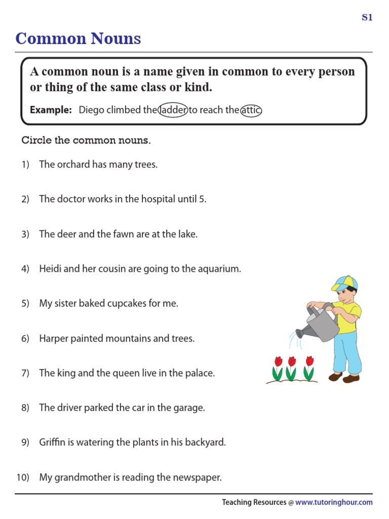 Understanding Common Nouns | PDF