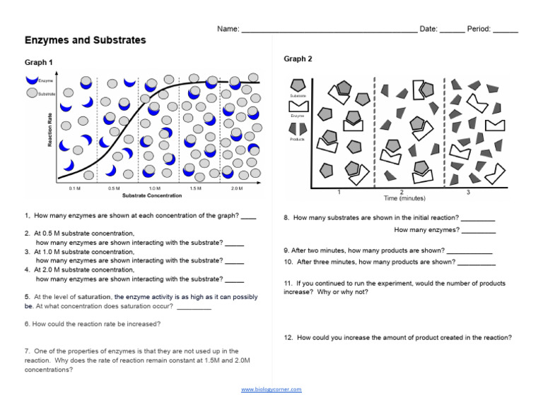 Enzymes and Substrates (Graph Analysis) | PDF