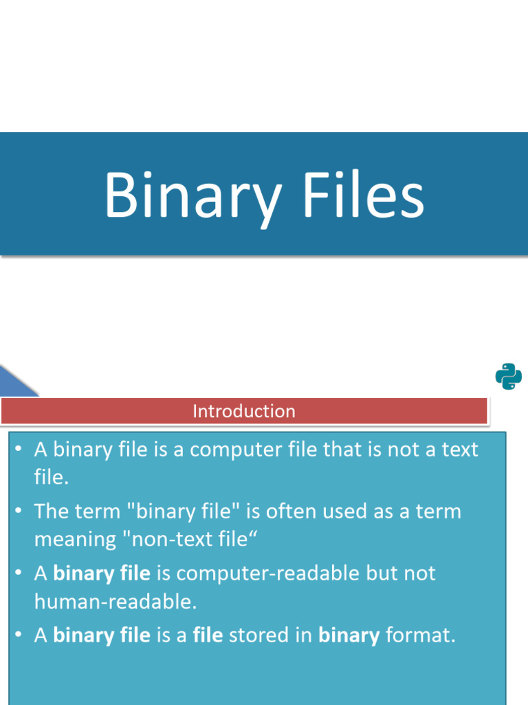 Binary Files | PDF | Computer File | File Format