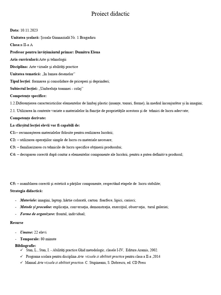 15 Proiect Didactic Avap | PDF