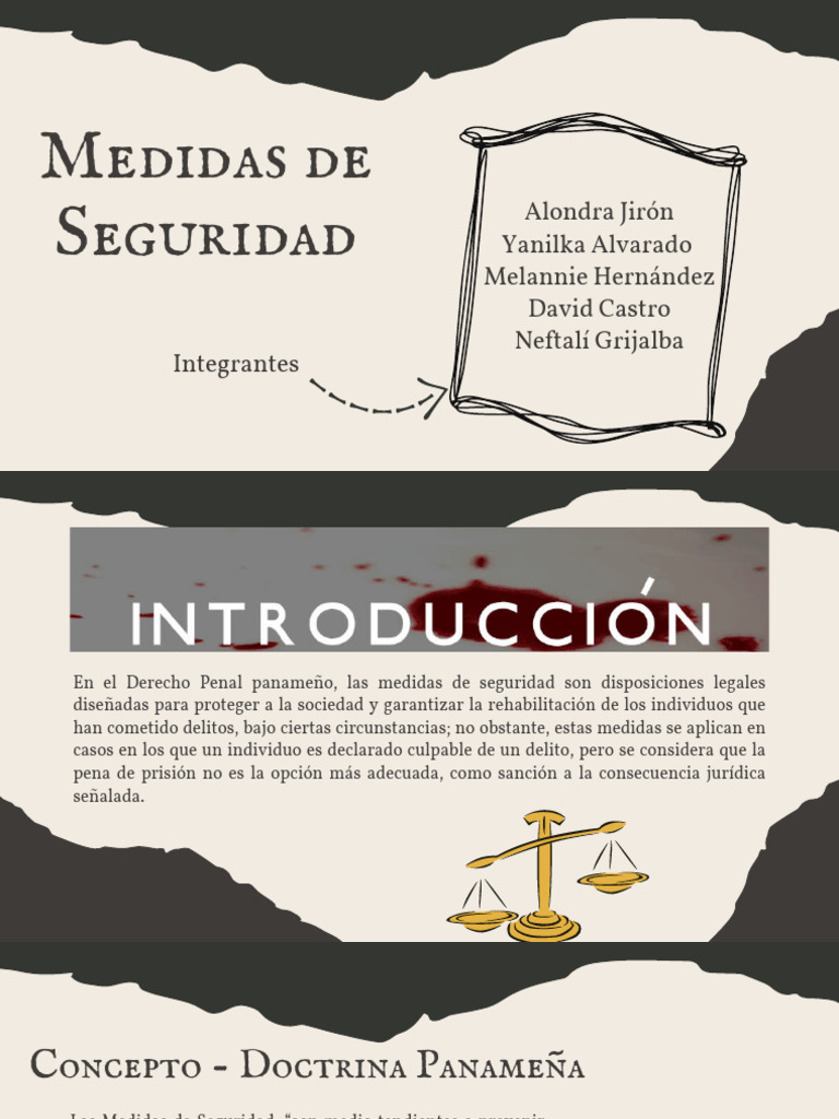 Medidas De Seguridad Pdf Derecho Penal Castigos 0258