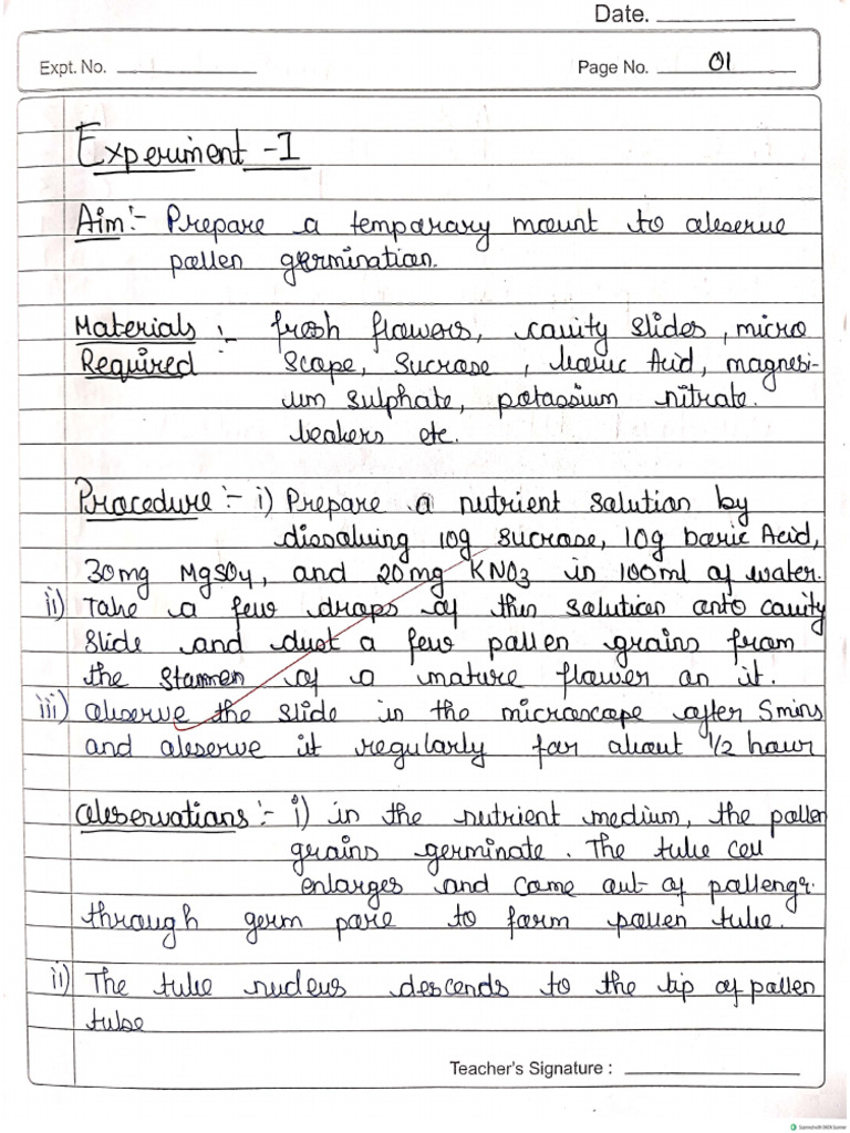 Biology Practical 12 Class Board | PDF