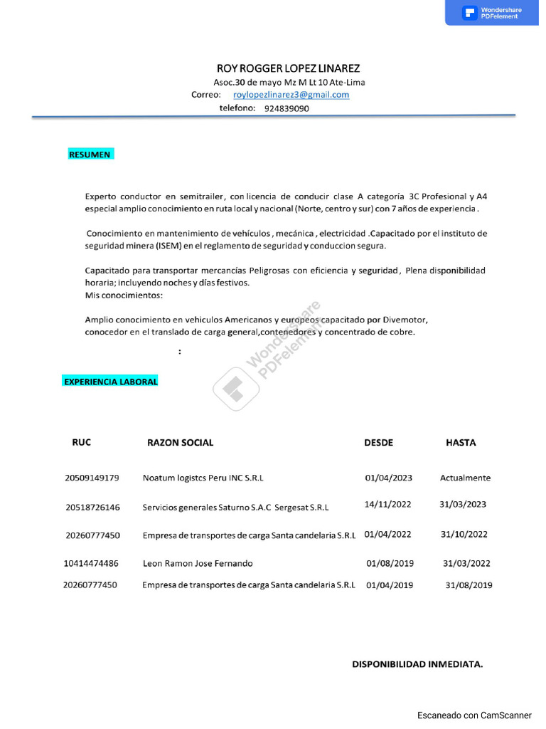 López Roy CV | PDF