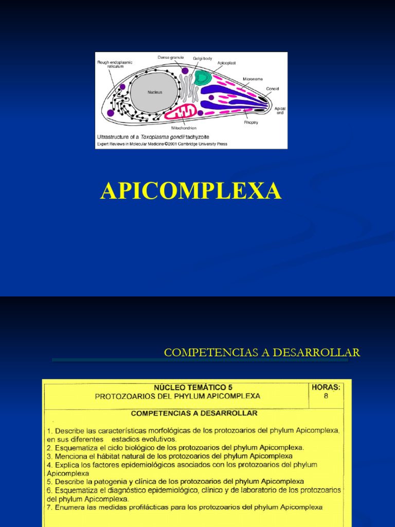 1 Apicomplexa. Coccidios I | PDF | Biología
