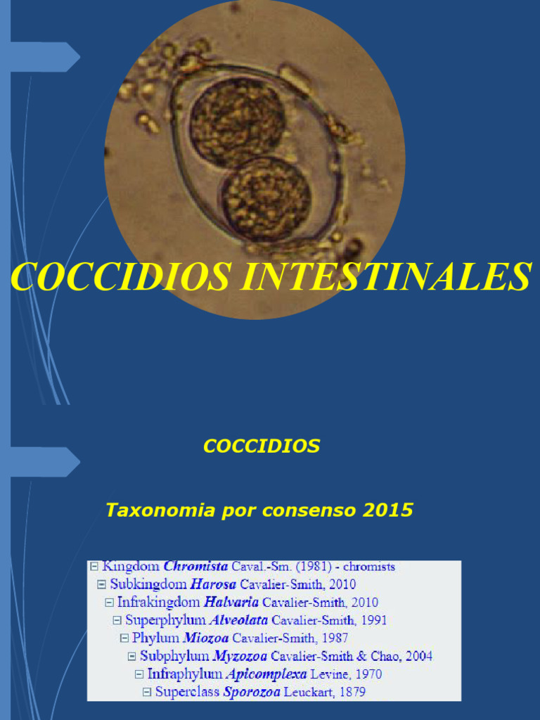 Coccidios Intestinales: Taxonomía y Diagnóstico | PDF | Medicina ...