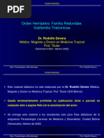 Triatominos: Vectores de Chagas | PDF | Biología