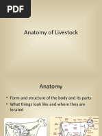 Histo Practical | PDF | Staining | Epithelium