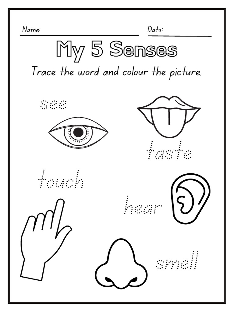 Black and White Kindergarten 5 Senses Science Worksheet | PDF